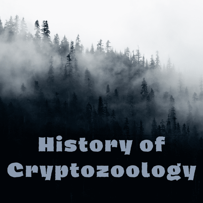 The Who, What, Where, When, and Why of Cryptozoology - HubPages