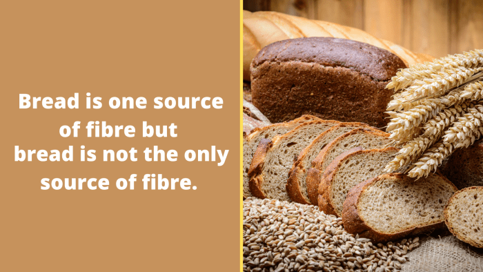 Facts About Fibre - HubPages