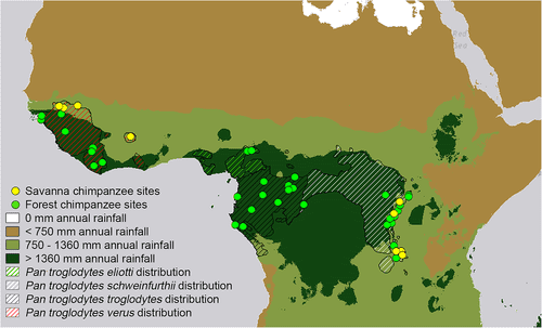 World Chimpanzee Day - HubPages