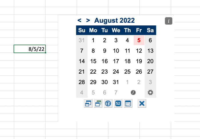 Use a Date Picker in Excel - HubPages