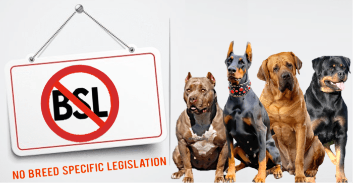 11 Countries Where No Dog Breed Is Banned or Restricted - HubPages