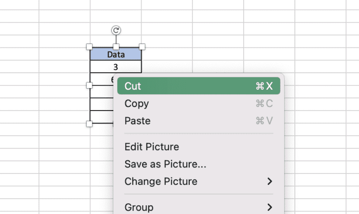 Snip a Range to Clipboard With a Macro Button in Excel for Mac - HubPages