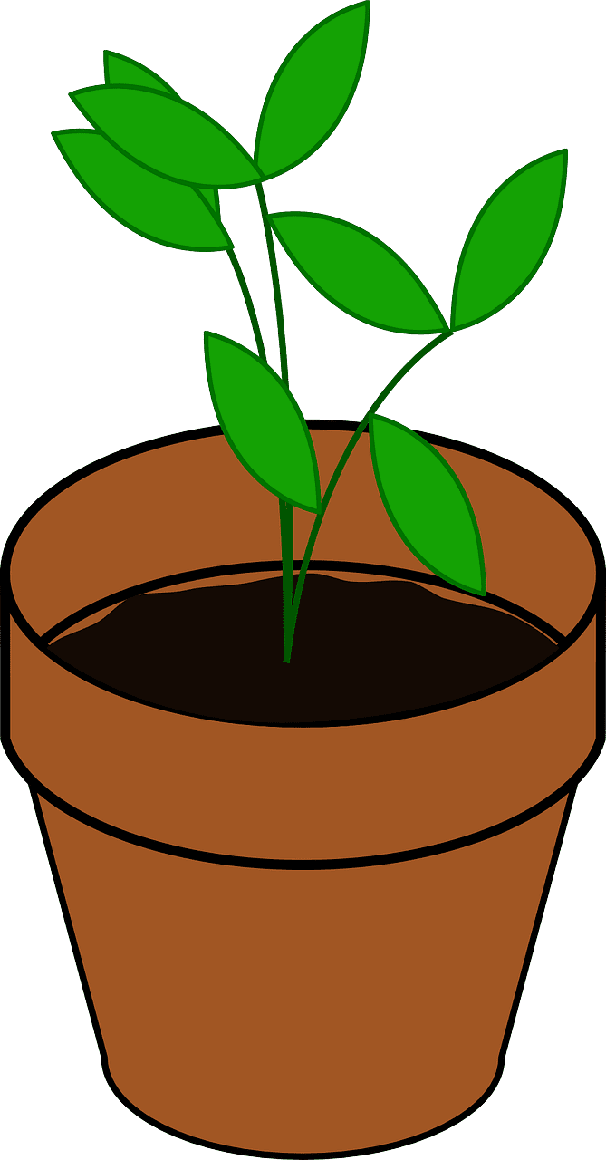 How To Save Money On Potting Soil HubPages how-to-save-money-on-potting-soil-hubpages