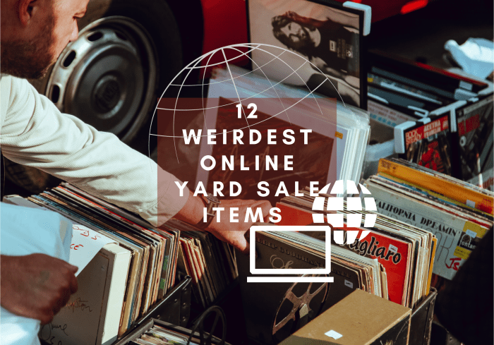 12 Weirdest Online Yard Sale Items You Can Buy - HubPages