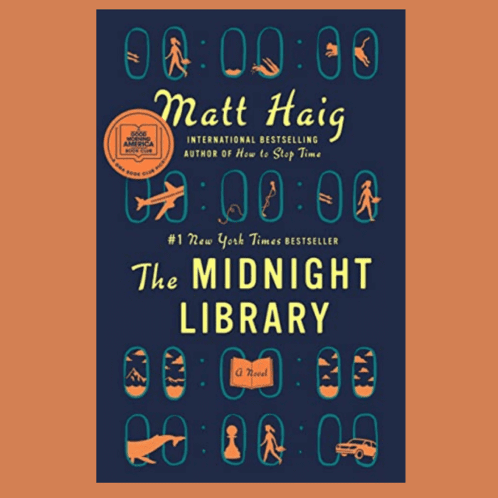 Book Review: The Midnight Library by Matt Haig - HubPages