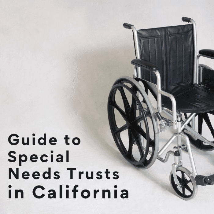 Comprehensive Guide to California Special Needs Trusts - HubPages