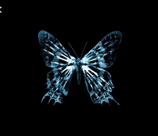 Butterfly Effect: Three Amazing Interactive Games - HubPages