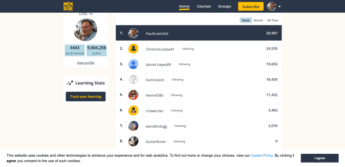 Why You Should Learn Languages on Memrise - HubPages
