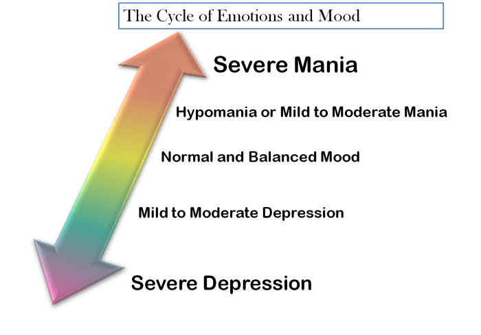 Depression & Bipolar Disorder - HubPages