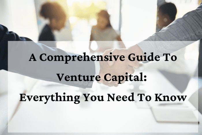 A Comprehensive Guide to Venture Capital: Everything You Need to Know ...