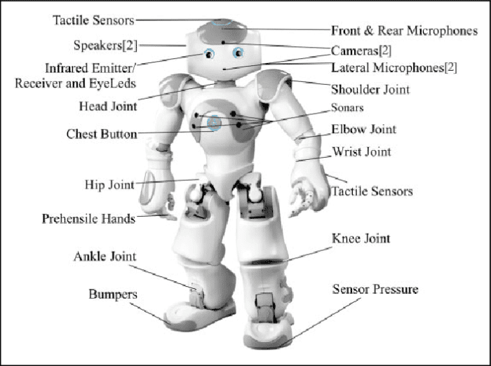 Humanoid: The Next-Gen Humans - HubPages
