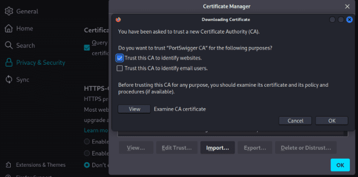 Bug Bounty Hunting With Burp Suite (Intercept, Repeater & Intruder ...