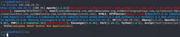 Website Enumeration and Information Gathering [Part 2] - HubPages