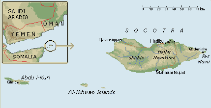 Socotra Island the Most Exotic Nature and Wildlife in the Earth - HubPages