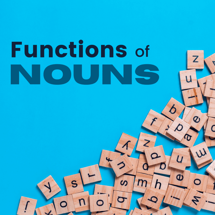 Functions of Nouns: Definitions, Examples, and More - Owlcation