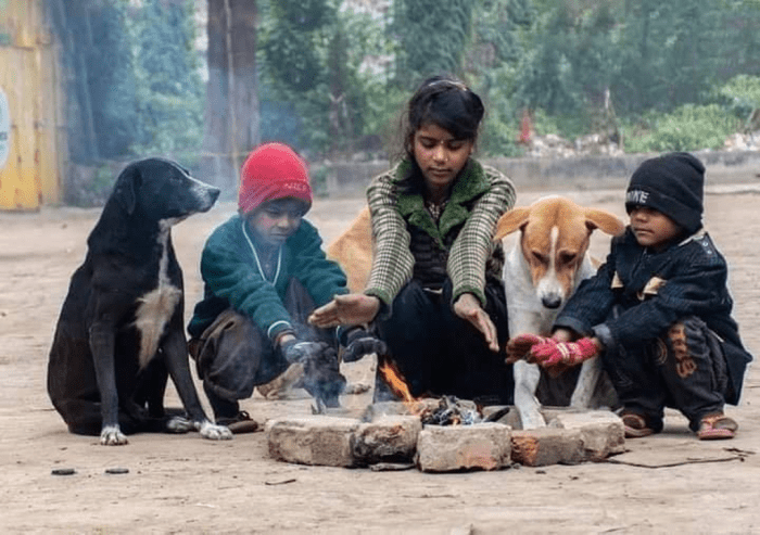 Hindu Dog Superstitions: 12 Auspicious & Inauspicious Signs - HubPages