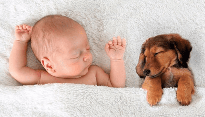 Science-Based Health Benefits For Children Of Growing Up With Dog ...