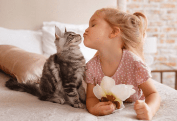 Science-Based Health Benefits of Having a Cat - HubPages