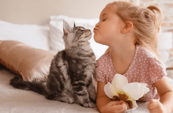 10 Science-Based Health Benefits For Children of Growing Up With Cats ...