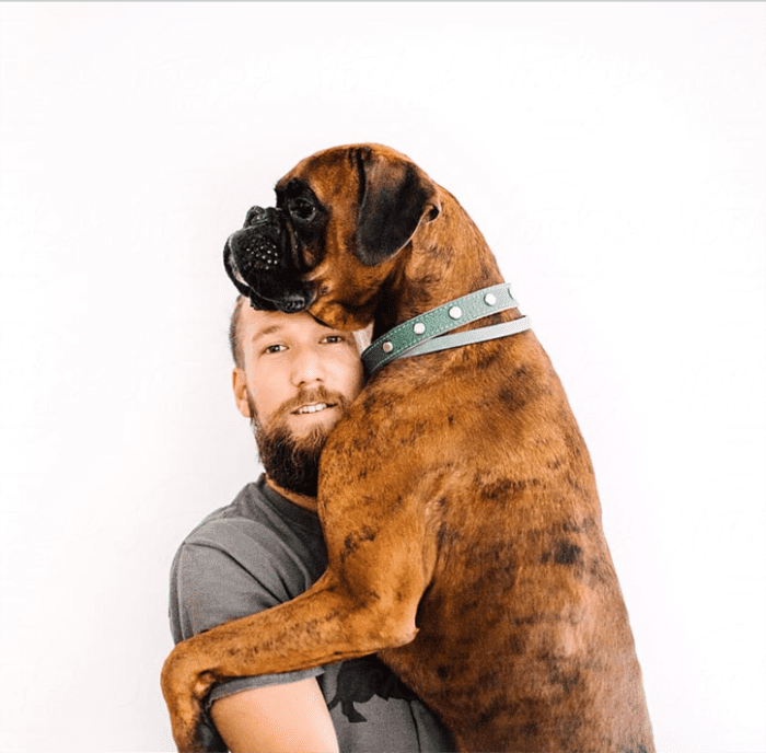 11 Best Dogs for Single Men Living Alone - HubPages