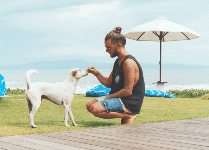 11 Best Dogs for Single Men Living Alone - HubPages