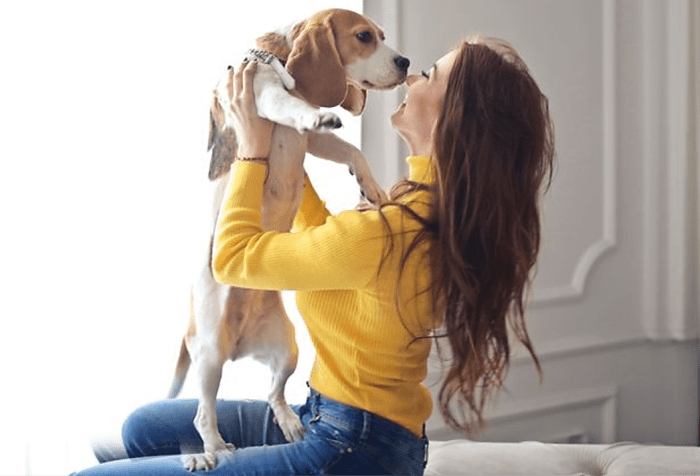 11 Best Companion Dogs for Single Women Living Alone - HubPages