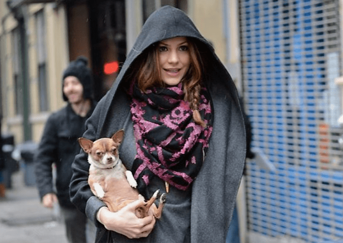 11 Best Companion Dogs for Single Women Living Alone - HubPages