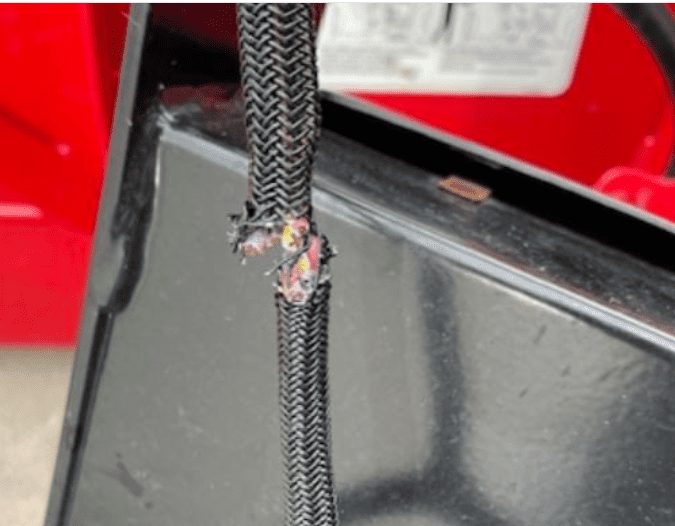 My Dog Keeps Chewing up Wires, What Can I Do? - HubPages