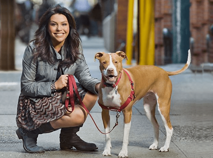 11 Best Personal Security & Protection Dogs For Single Living Women ...