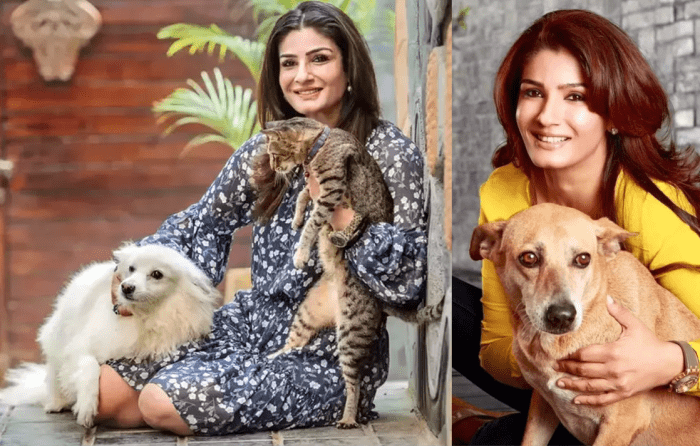 15 Indian Bollywood Celebs Who Adopted Indie Dog (Desi Kutta) - HubPages