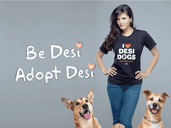 15 Indian Bollywood Celebs Who Adopted Indie Dog (Desi Kutta) - HubPages
