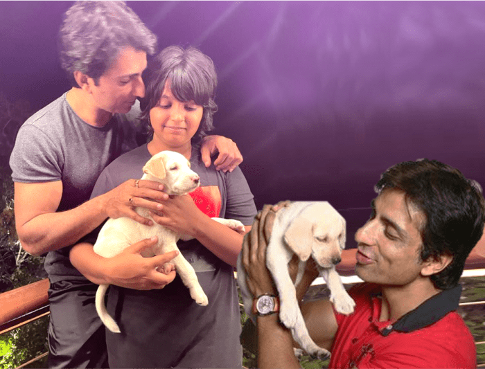 15 Indian Bollywood Celebs Who Adopted Indie Dog (Desi Kutta) - HubPages