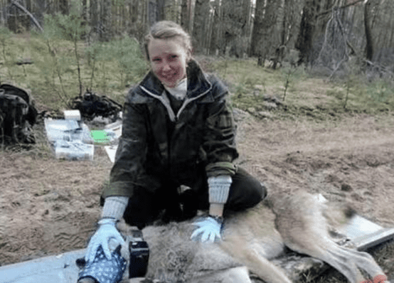 Radiation and Evolution: The Story of Chernobyl's Mutant Wildlife ...