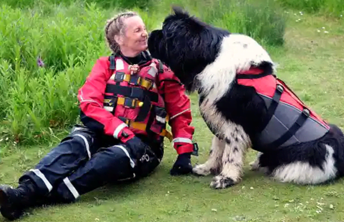 11 Best Service Dogs To Assist People With Physical Disabilities - HubPages