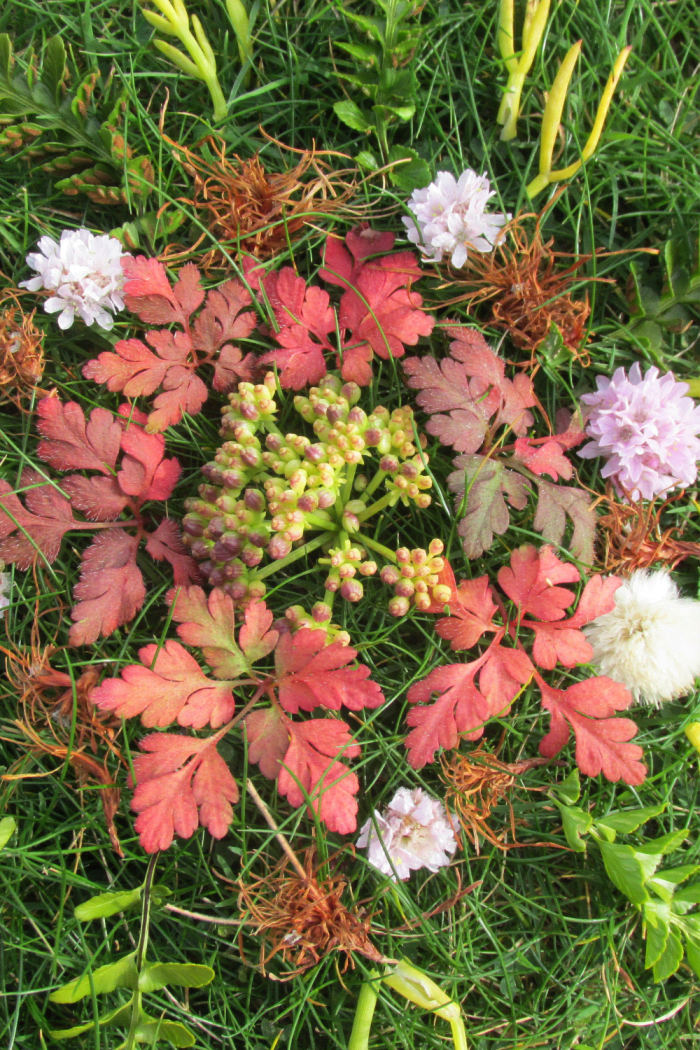 20 Activities to Do for Ostara - HubPages