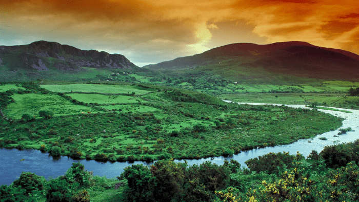 Top 10 Irish Cryptids: Mysterious Creatures of Legend - HubPages