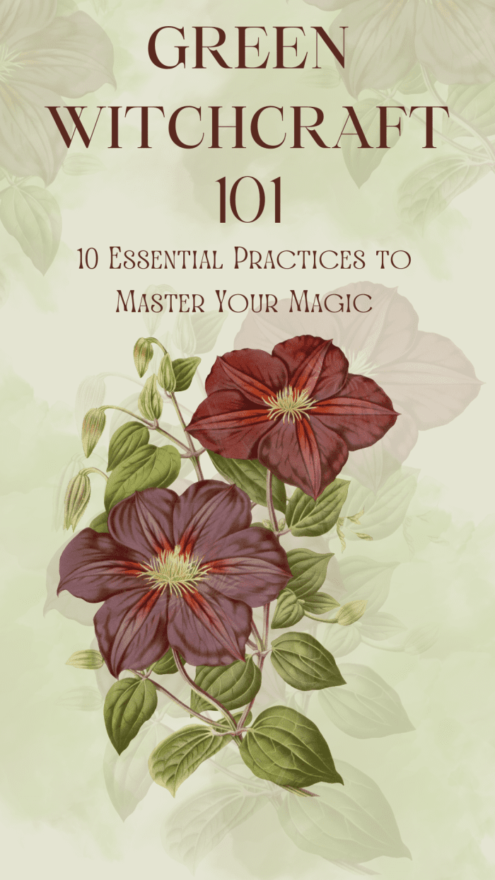 Green Witchcraft 101: 10 Simple Ways to Master Your Magic - HubPages