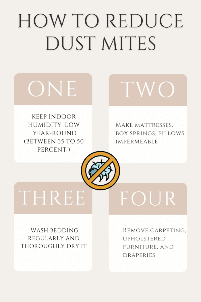 How to Get Rid of Dust Mites: 10 Ways to Get Relief - HubPages