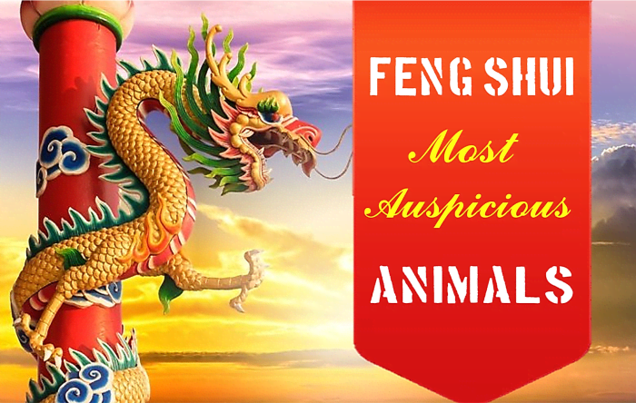 11 Most Auspicious Feng Shui Animals - HubPages