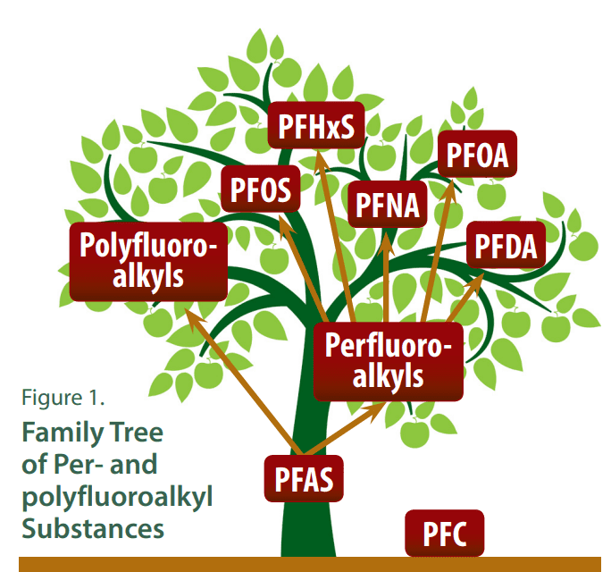 How Can You Avoid Toxic PFAS Forever Chemicals? - HubPages