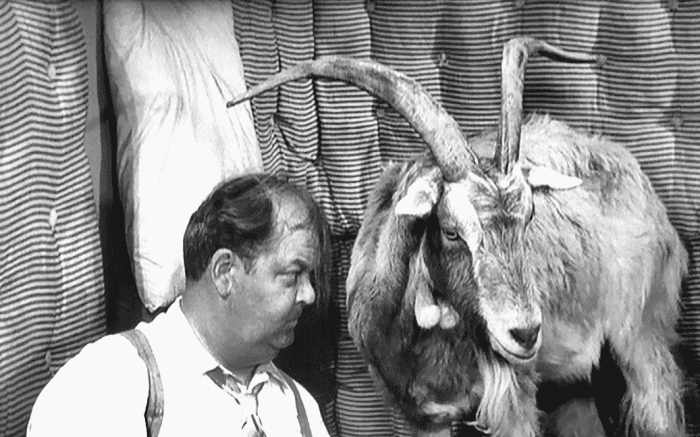 Jimmy the Loaded Goat on The Andy Griffith Show - HubPages