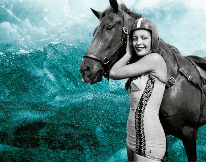 Diving Horse in Atlantic City: End of an Era - HubPages