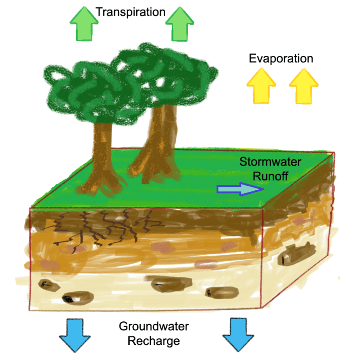 The Hydrologic Cycle: Water Evaporation and Transpiration - HubPages