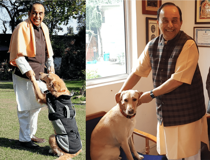 21 Most Popular Indian Leaders And Their Adorable Dogs - HubPages