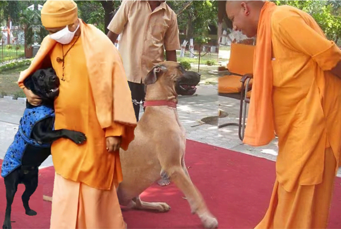 21 Most Popular Indian Leaders And Their Adorable Dogs - HubPages
