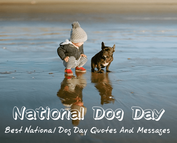 National Dog Day: 50+ Best Dog Day Quotes Instagram Captions And FAQs ...