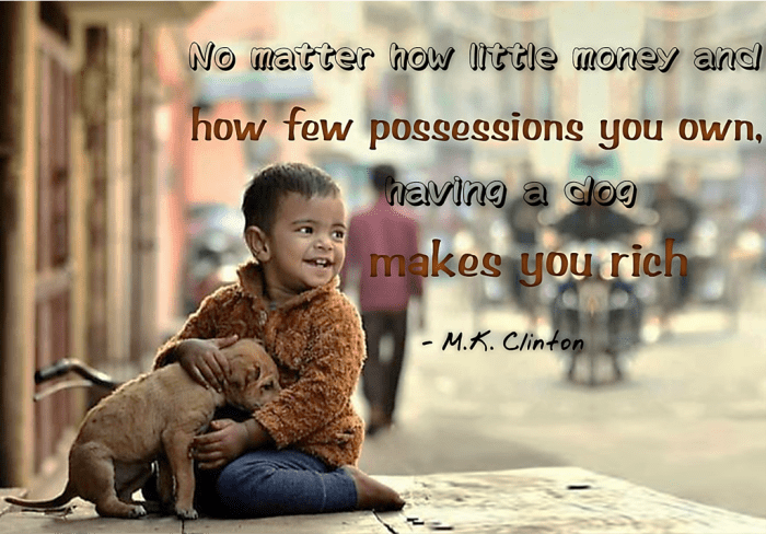 National Dog Day: 50+ Best Dog Day Quotes Instagram Captions And FAQs ...