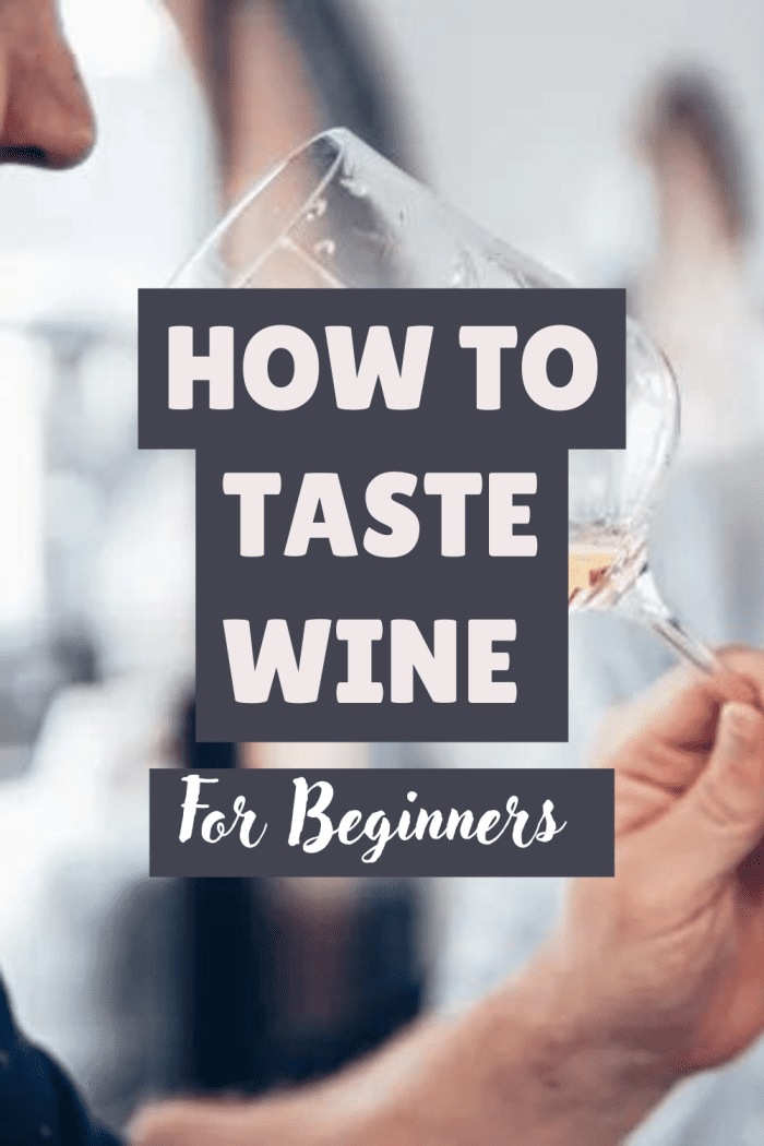 How to Taste Wine for Beginners - HubPages
