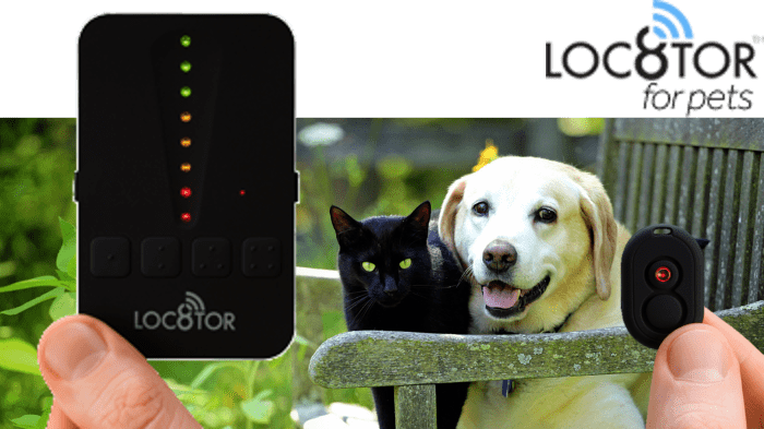 15 Cheap GPS Trackers For Pets - HubPages