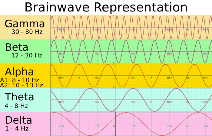 What Are Beta Brain Waves? Improve Focus With Entrainment - Owlcation